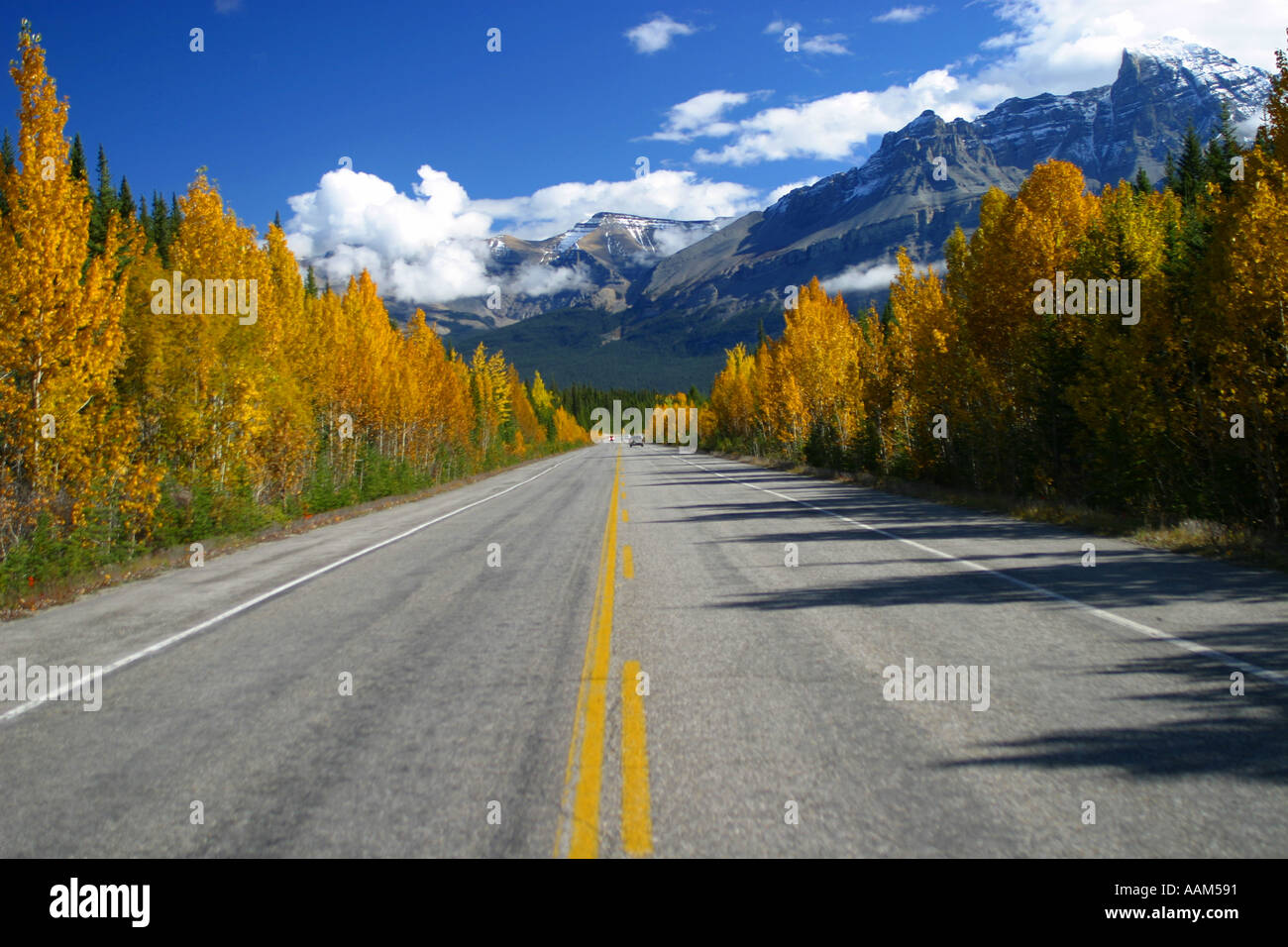 Horizontal Fall colors in Banff National Park Alberta Canada North ...