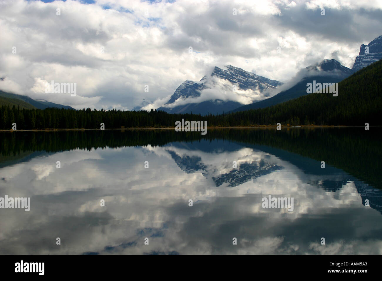 Horizontal Fall colors in Banff National Park Alberta Canada North ...