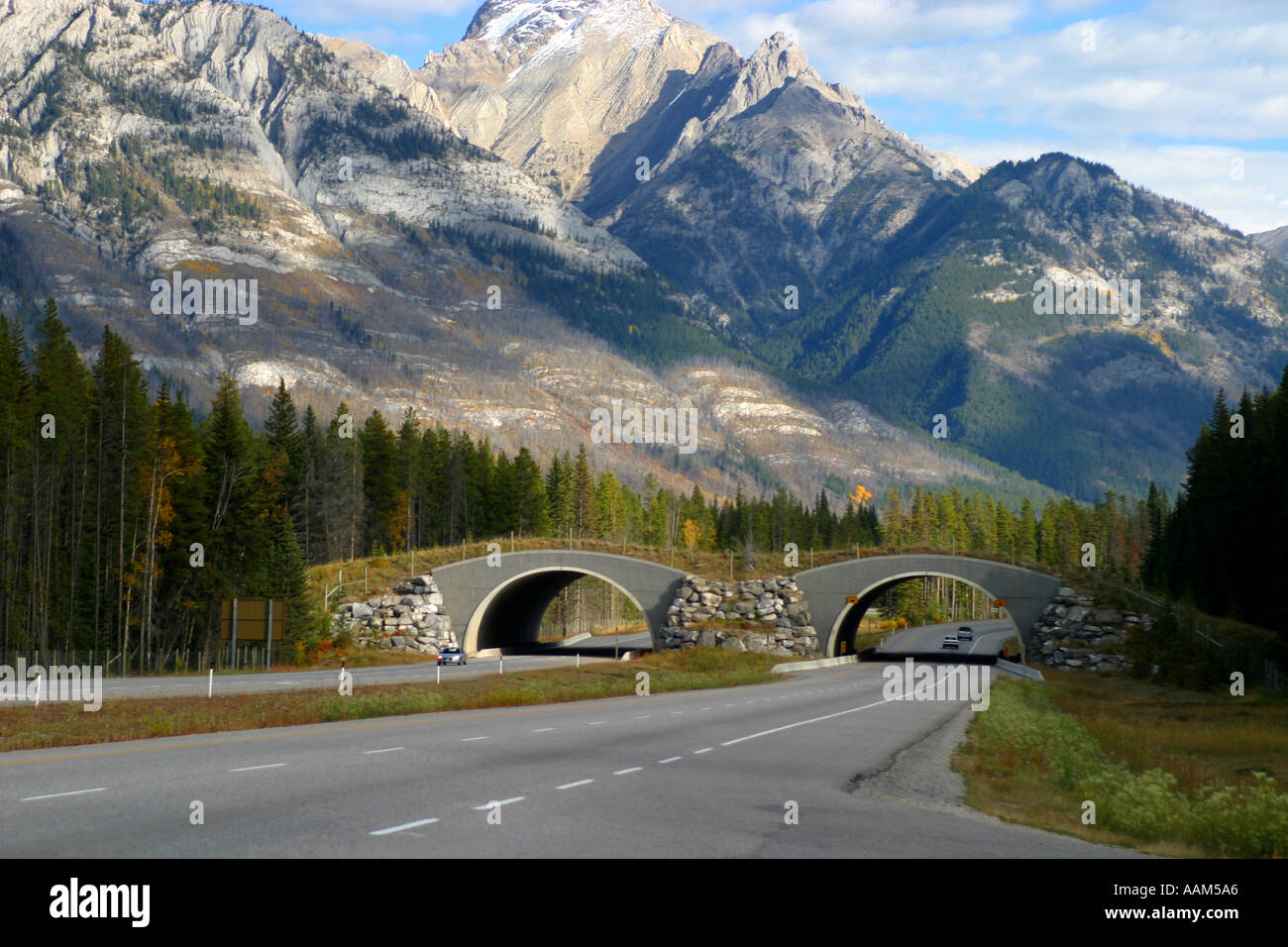 Horizontal Wildlife overpass Banff National Park Alberta Canada North ...