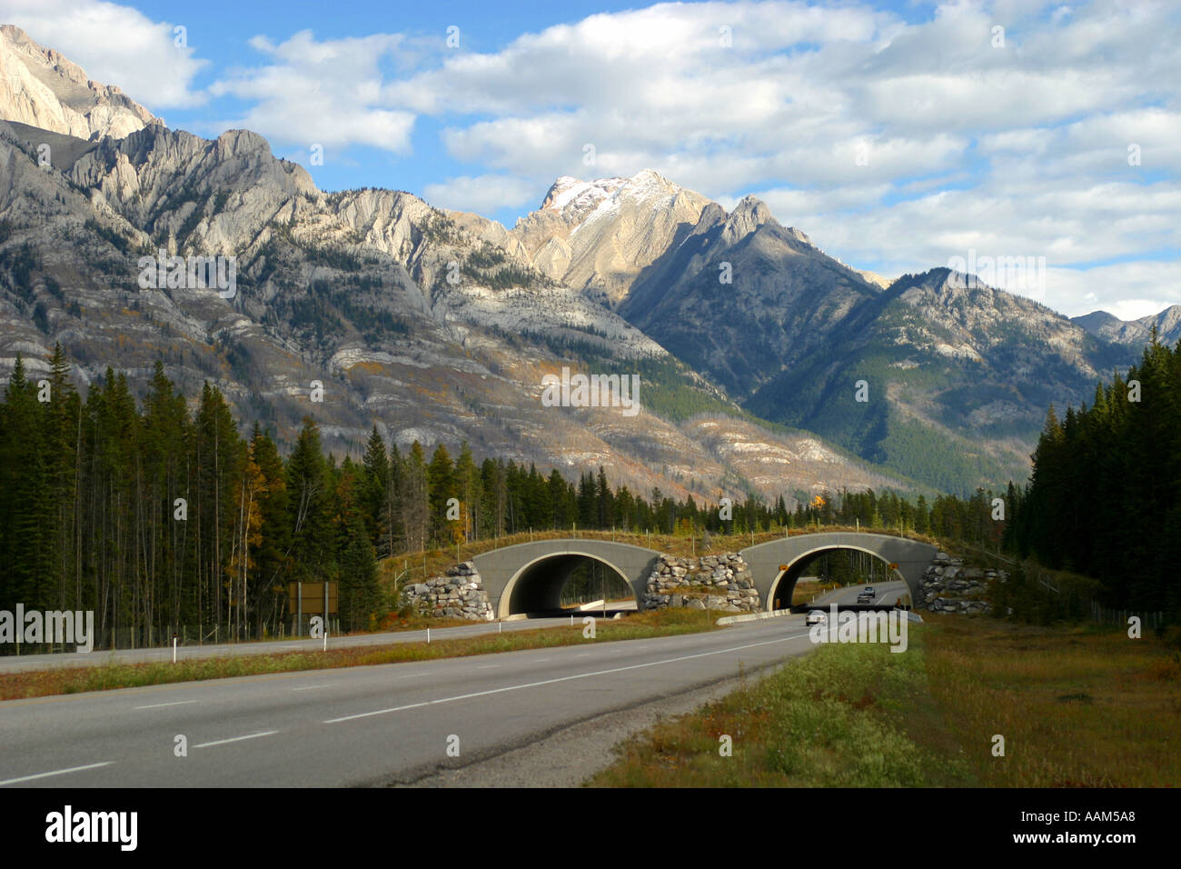 Horizontal Wildlife overpass Banff National Park Alberta Canada North ...