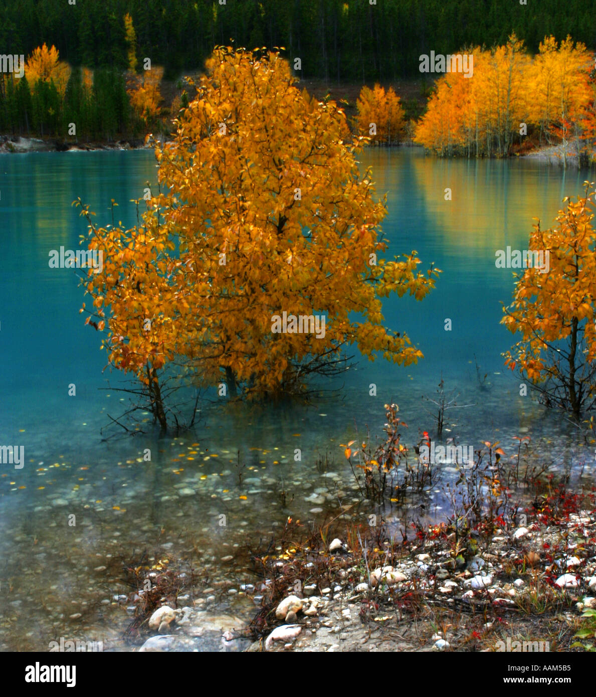 Horizontal Fall colors in Banff National Park Alberta Canada North ...