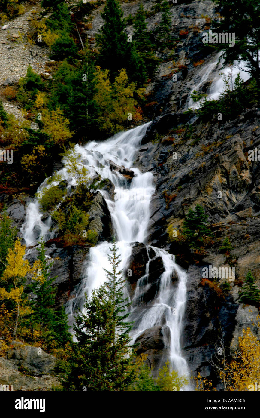 Vertical Fall colors in Banff National Park Alberta Canada North ...