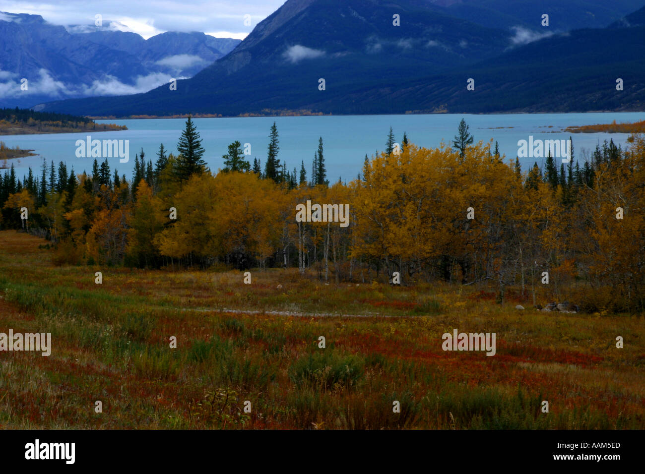 Horizontal Autumn colors in Alberta Canada North America Stock Photo ...