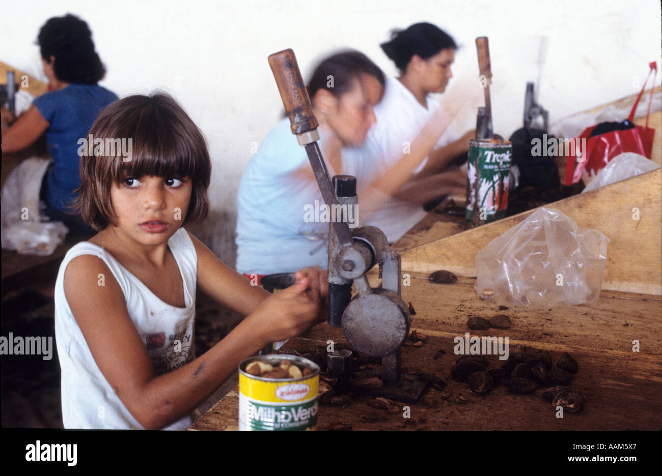 Brazil nut processing plant. Child labor. Acre, Amazon, Brazil Stock ...