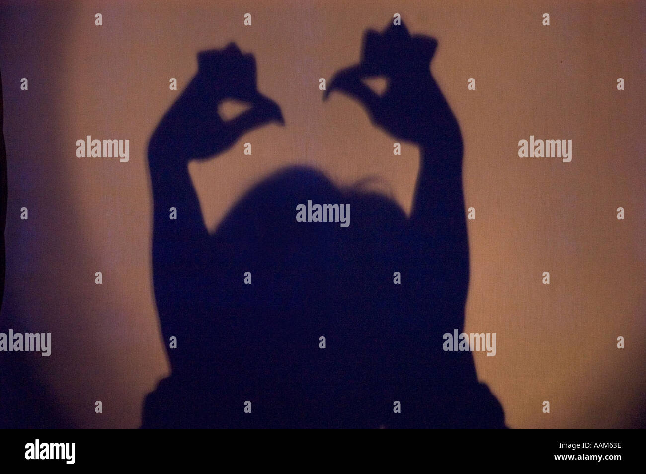 Shadow performer makes chickens with his hands Chengdu China in Sichuan ...