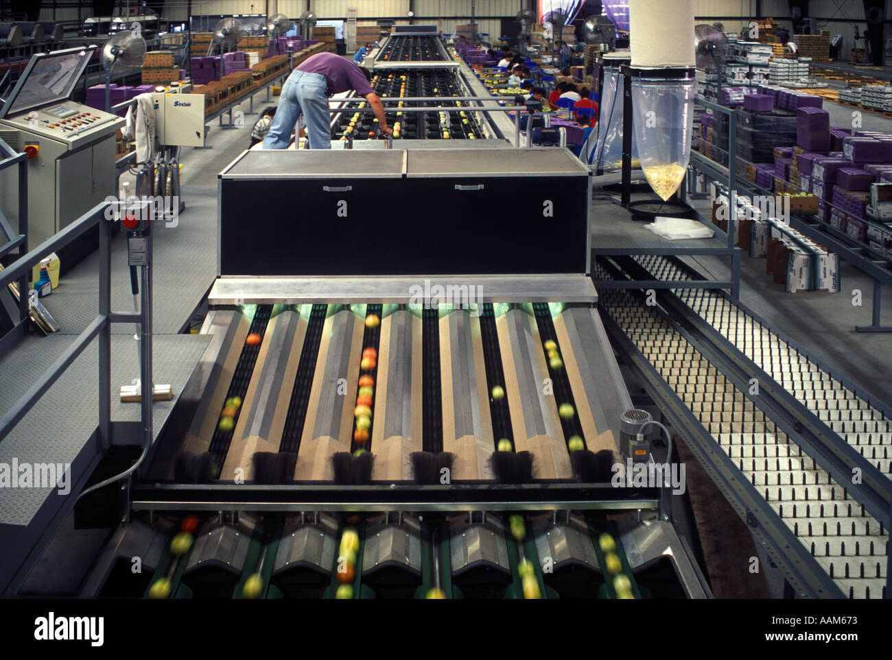 Tomato processing plant California Stock Photo - Alamy