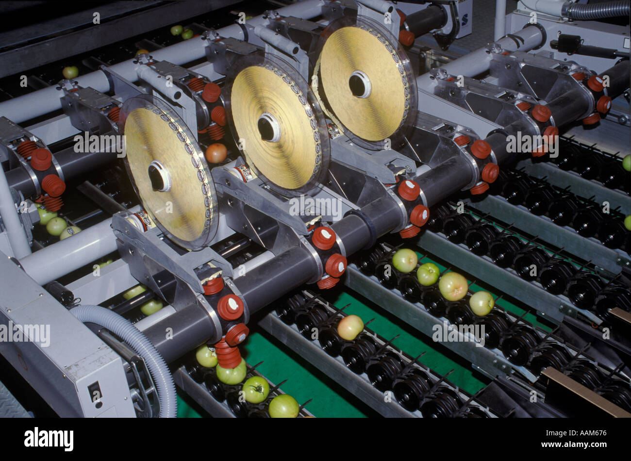 Tomato processing plant California Stock Photo - Alamy
