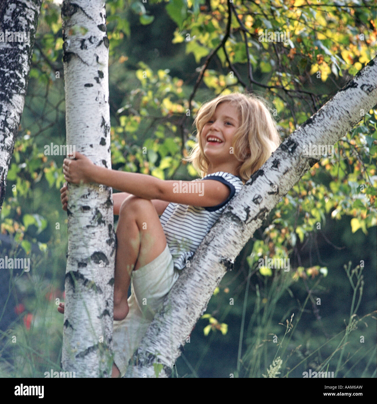 Tree climbing girl 1970s hi-res stock photography and images - Alamy