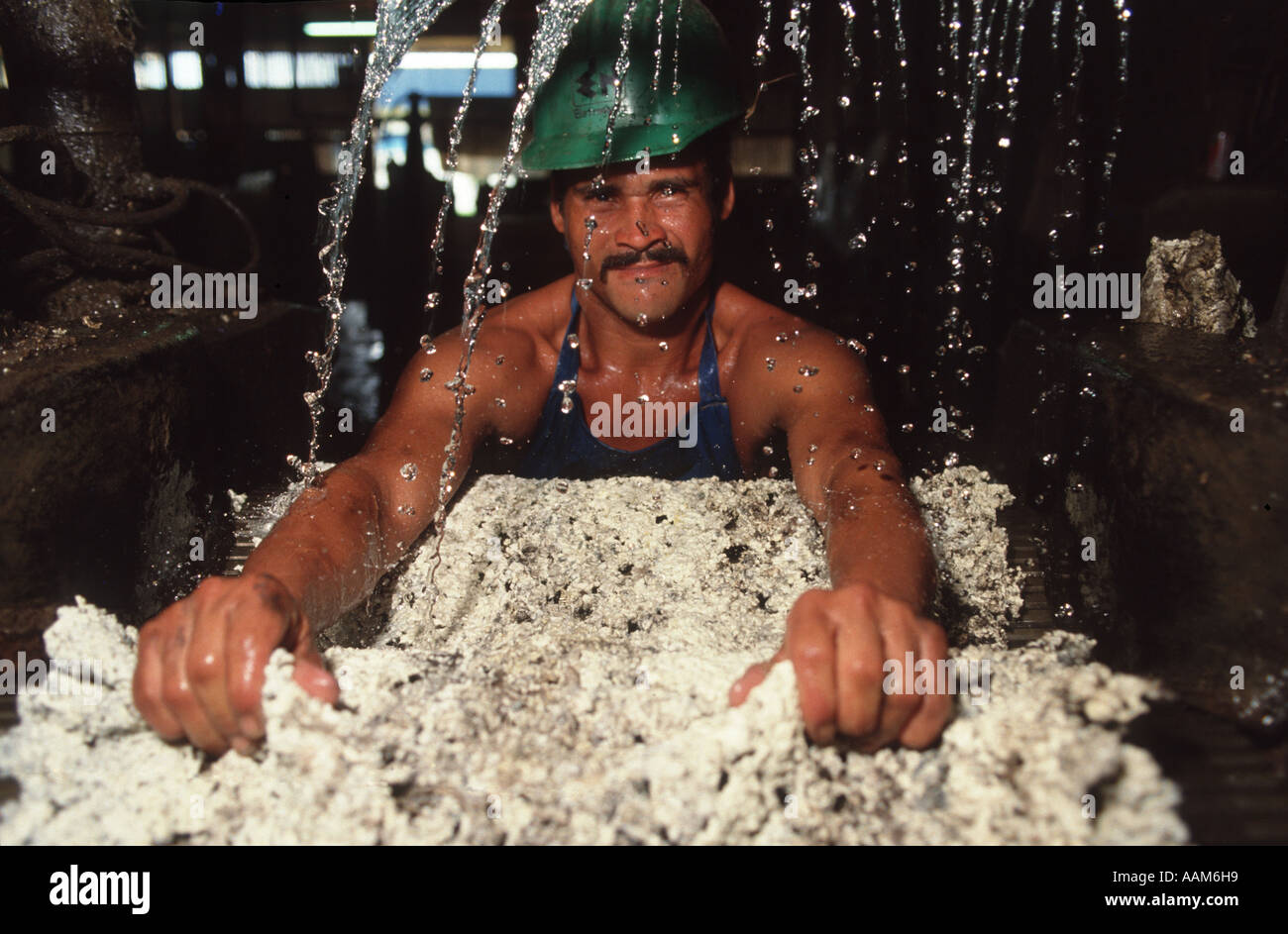 Amazon rubber plant hi-res stock photography and images - Alamy