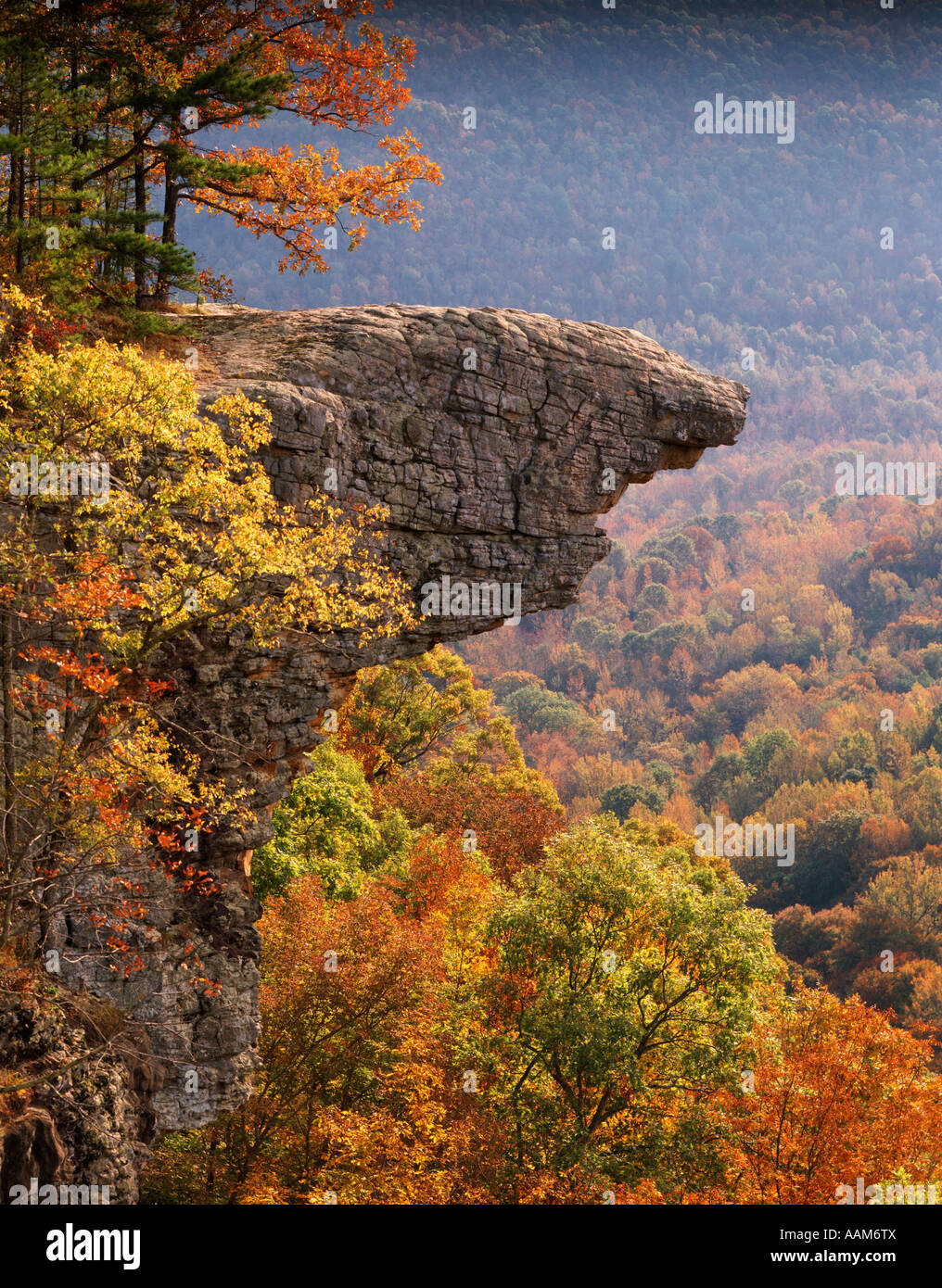 WHITAKER POINT IN UPPER BUFFALO RIVER WILDERNESS AREA OZARK NATIONAL ...