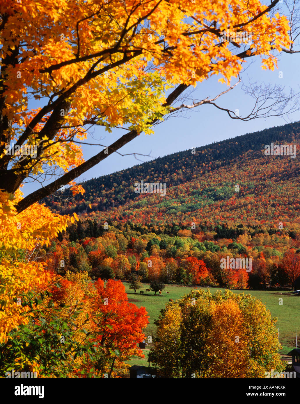 Jackson new hampshire hi-res stock photography and images - Alamy