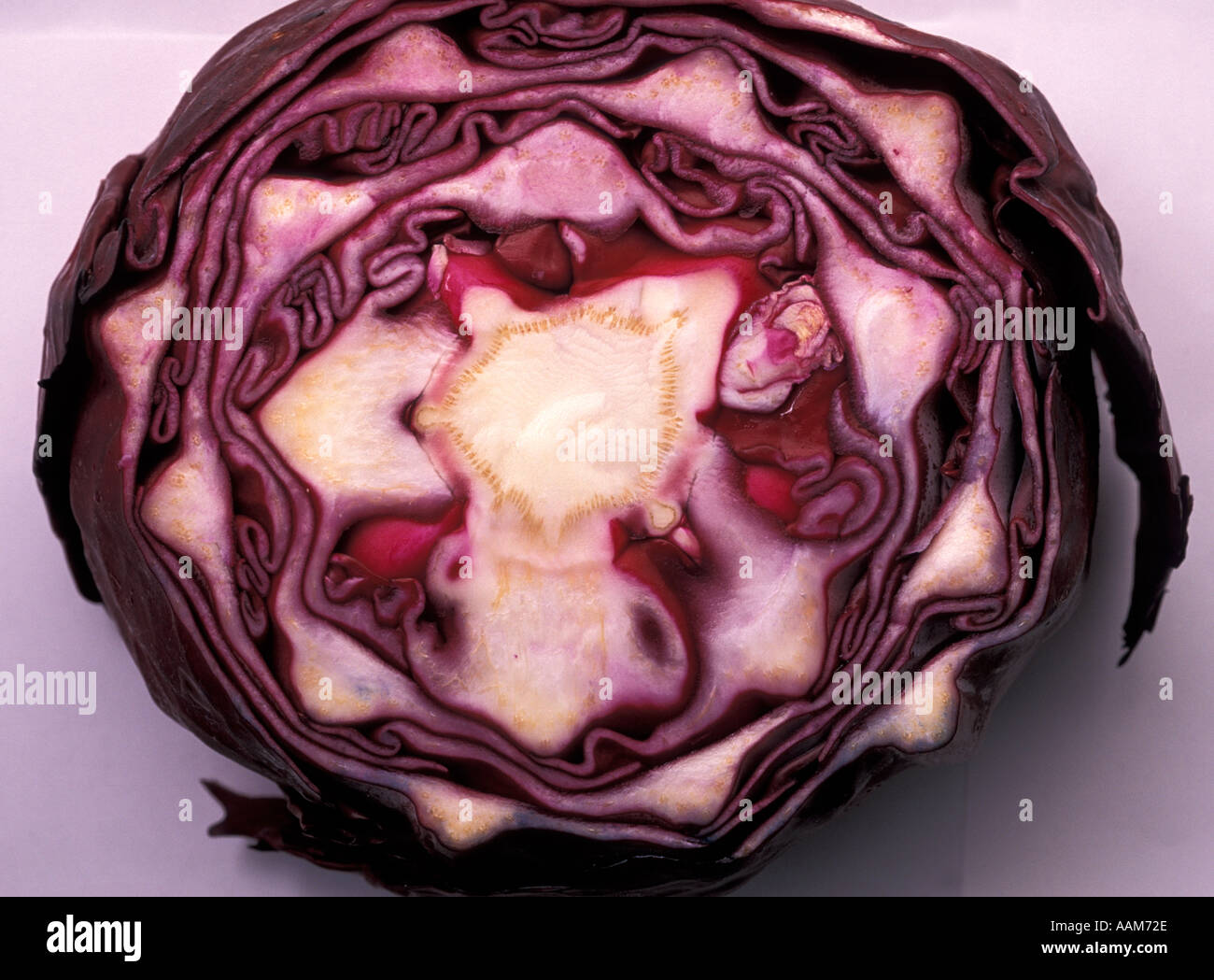 red cabbage cut Stock Photo - Alamy