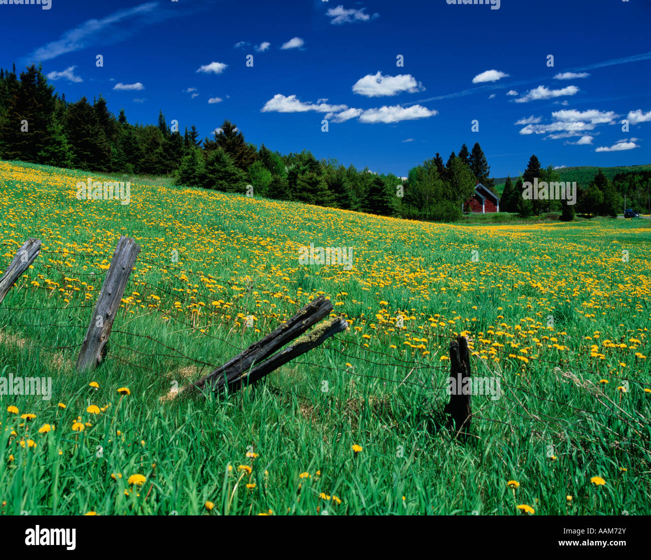 Colebrook hi-res stock photography and images - Alamy