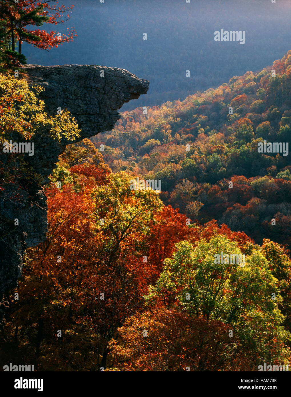 WHITAKER POINT UPPER BUFFALO WILDERNESS OZARK NATIONAL FOREST ARKANSAS ...