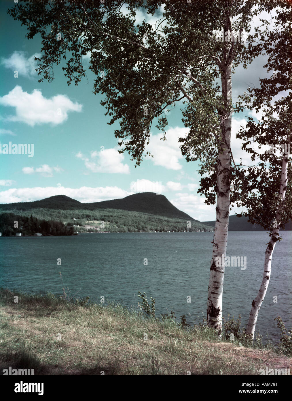 1950 1950s LANDSCAPE WELLOUGHBY LAKE WESTMORE VT RETRO Stock Photo - Alamy
