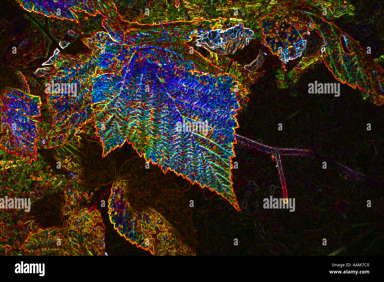 Seasons change melancholic hi-res stock photography and images - Alamy
