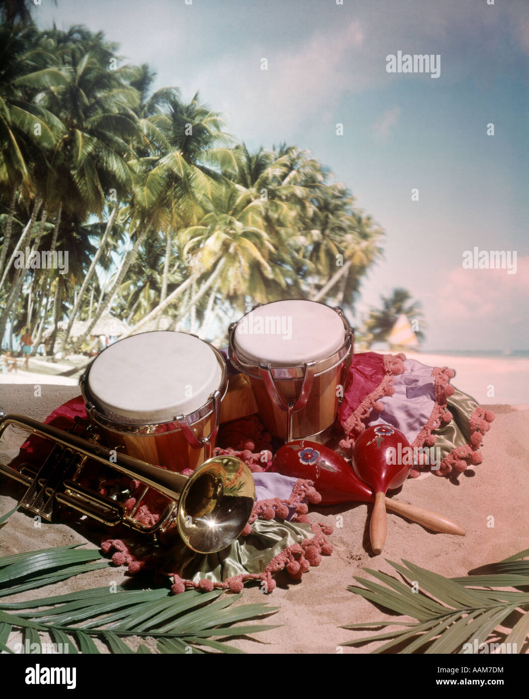 1960 1960s 1970 1970s STILL LIFE MUSICAL INSTRUMENTS CARIBBEAN FLAVOR ...