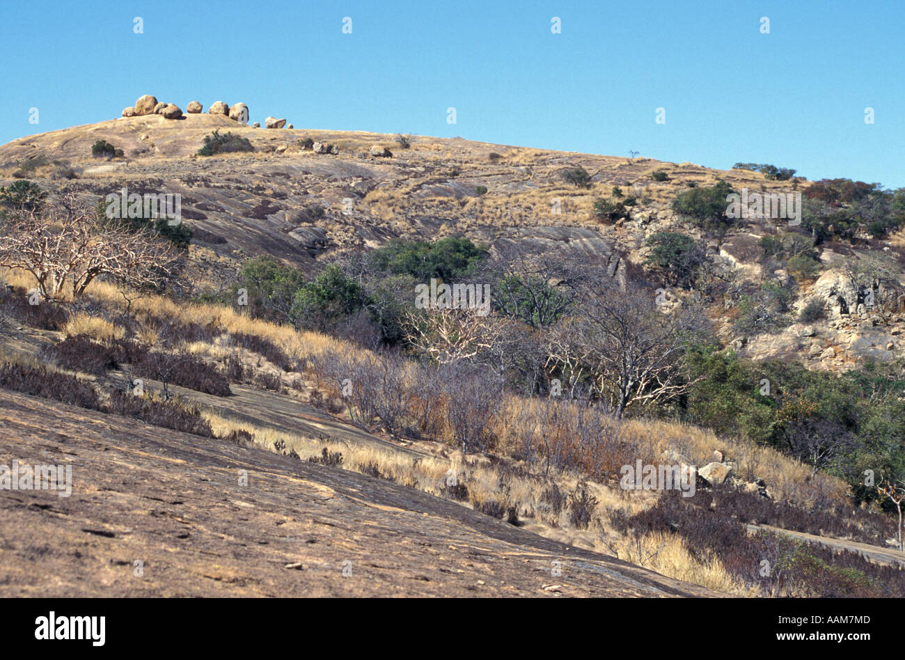 Matopos Hills Zimbabwe Stock Photo - Alamy