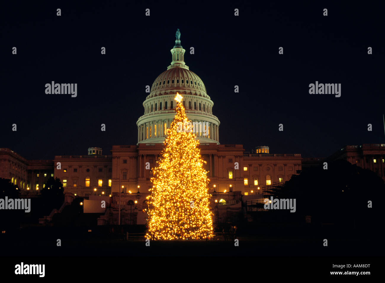 WASHINGTON DC CAPITOL BUILDING AND CHRISTMAS TREE Stock Photo - Alamy