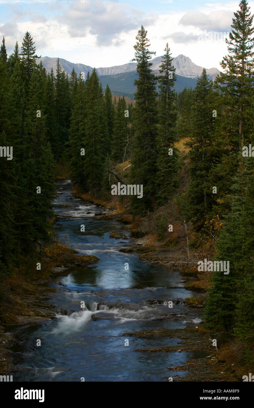 Mountain stream in Banff National Park Alberta Canada North America ...