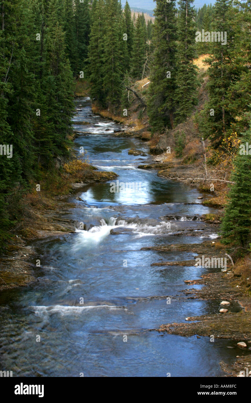 Mountain stream in Banff National Park Alberta Canada North America ...