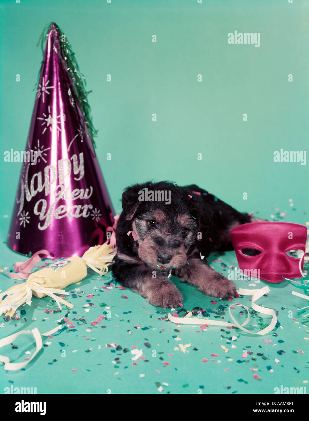 1950s HAPPY NEW YEAR PAPER HAT STREAMERS CONFETTI RED MASK & 7 WEEK OLD ...