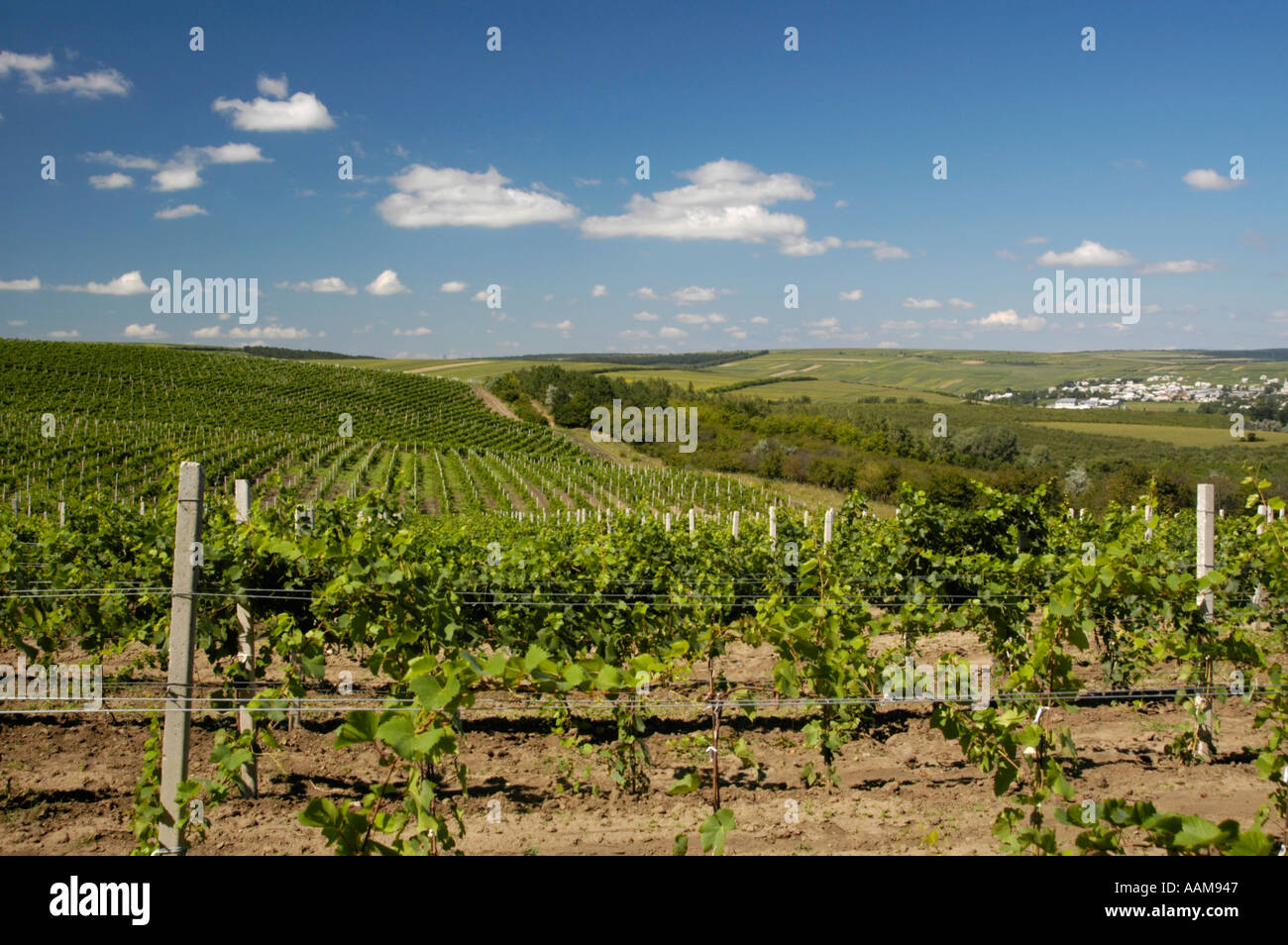 Cricova High Resolution Stock Photography and Images - Alamy