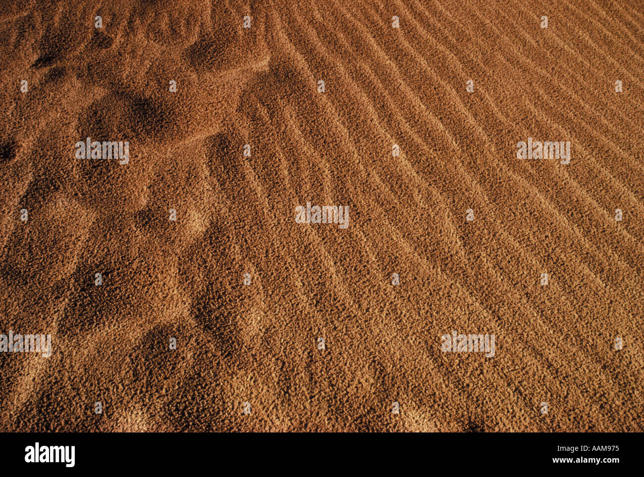 Big sand dunes nevada hi-res stock photography and images - Alamy