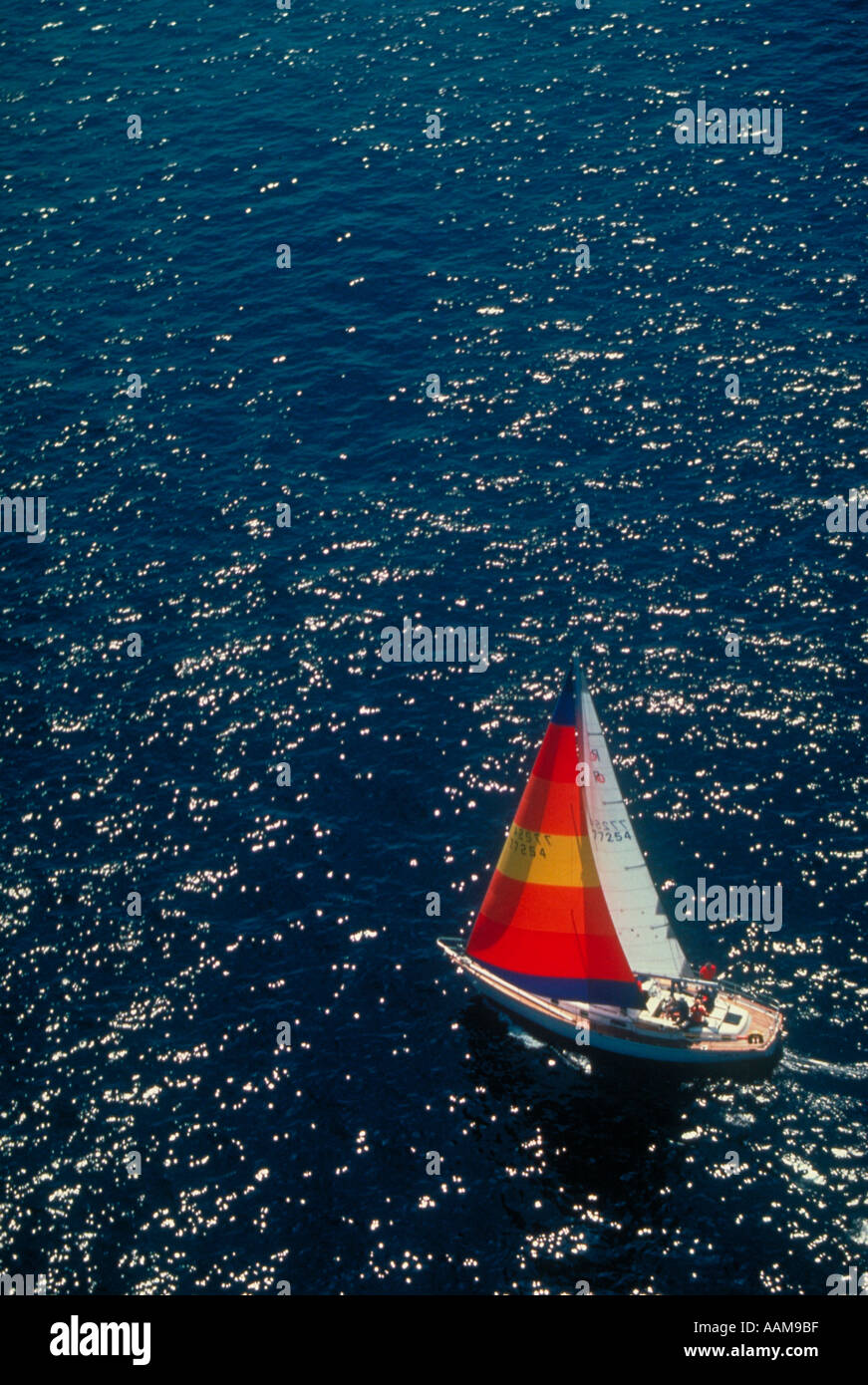 Aerial view of sailboat sailing in open sea off southern California ...