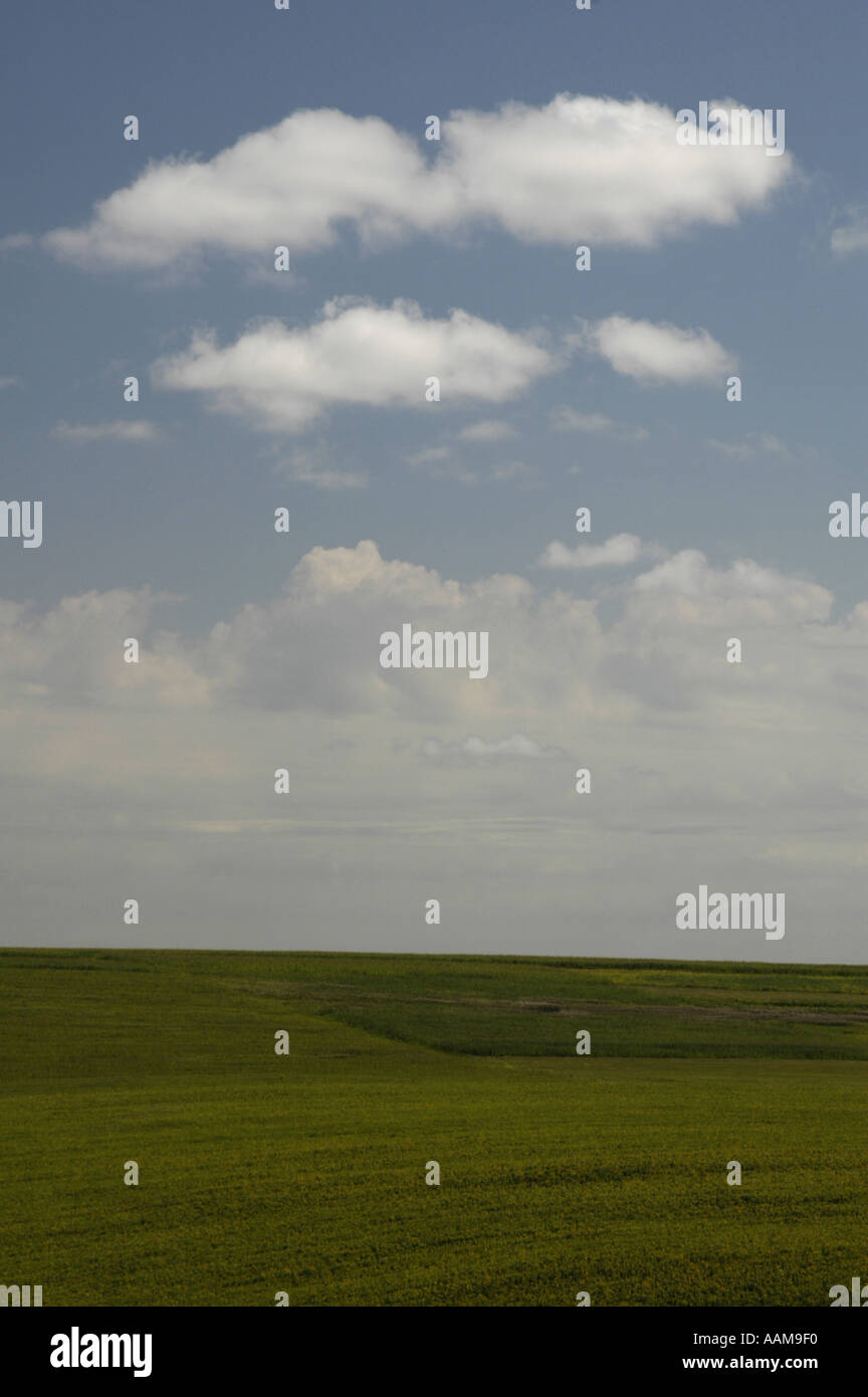 Transdniestr hi-res stock photography and images - Alamy