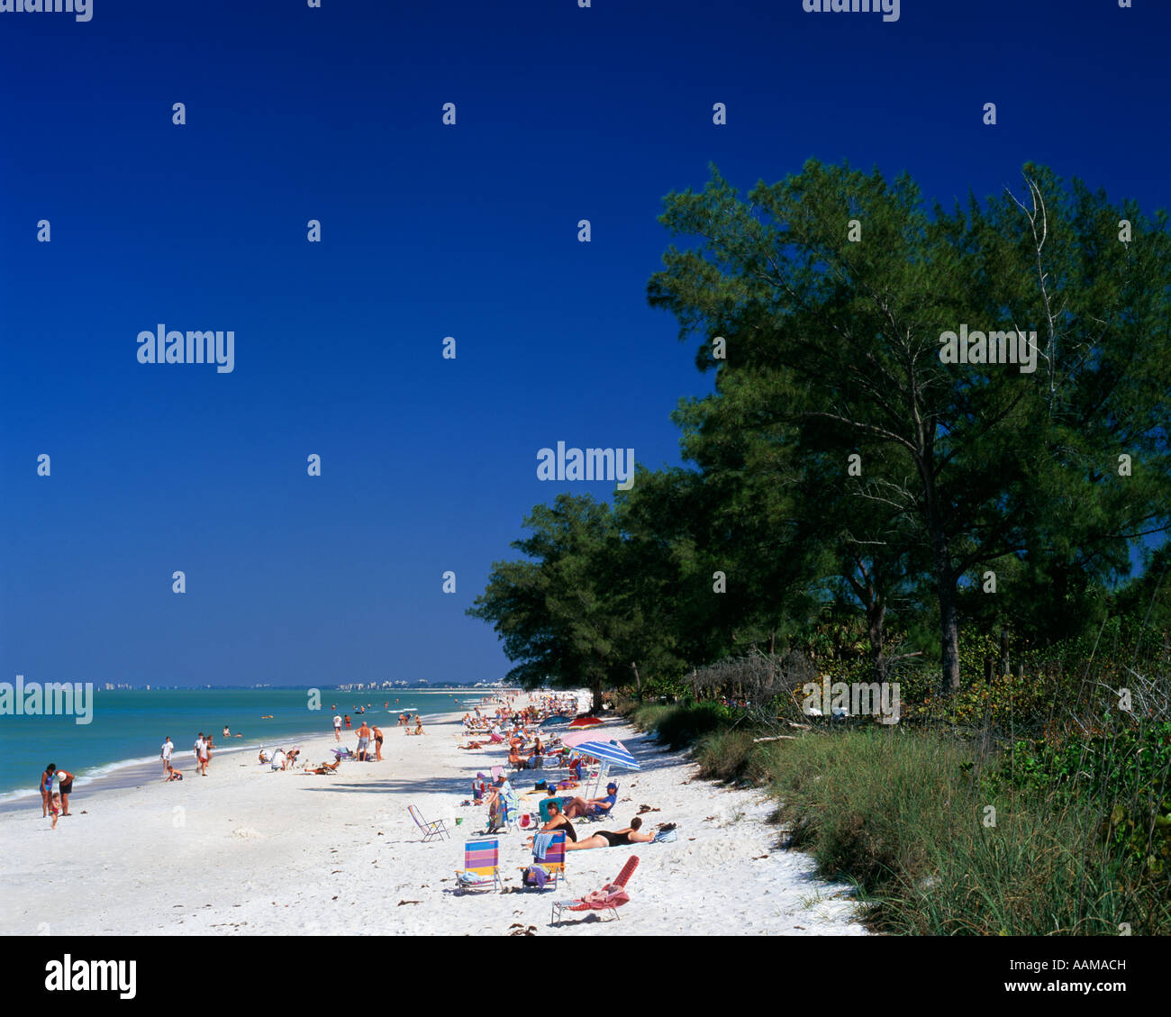 Wiggins florida hi-res stock photography and images - Alamy