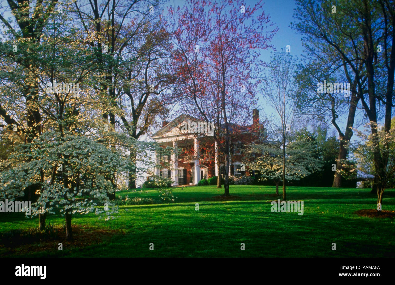 Spring in the South Virginia Stock Photo - Alamy