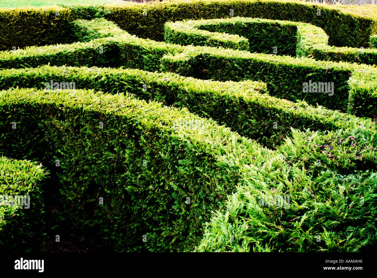 Plant maze hi-res stock photography and images - Alamy