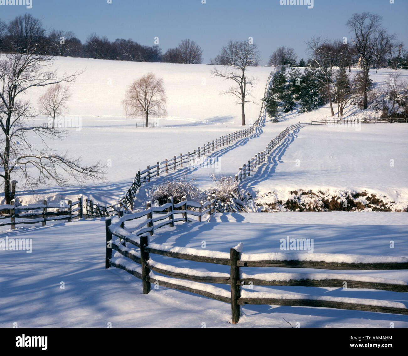 Pennsylvania doe hi-res stock photography and images - Alamy