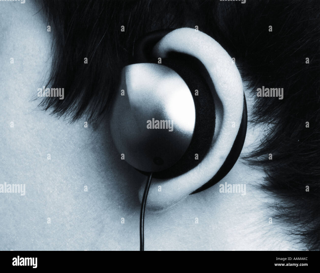 Fahrenheit 451 Seashell