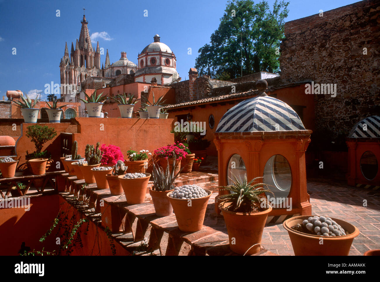 SAN MIGUEL de ALLENDE MEXICO CASA del OBELISCO POTTED FLOWERS ON PORCH ...