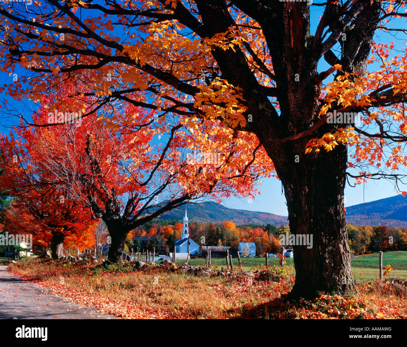 TAMWORTH NH AUTUMN Stock Photo - Alamy