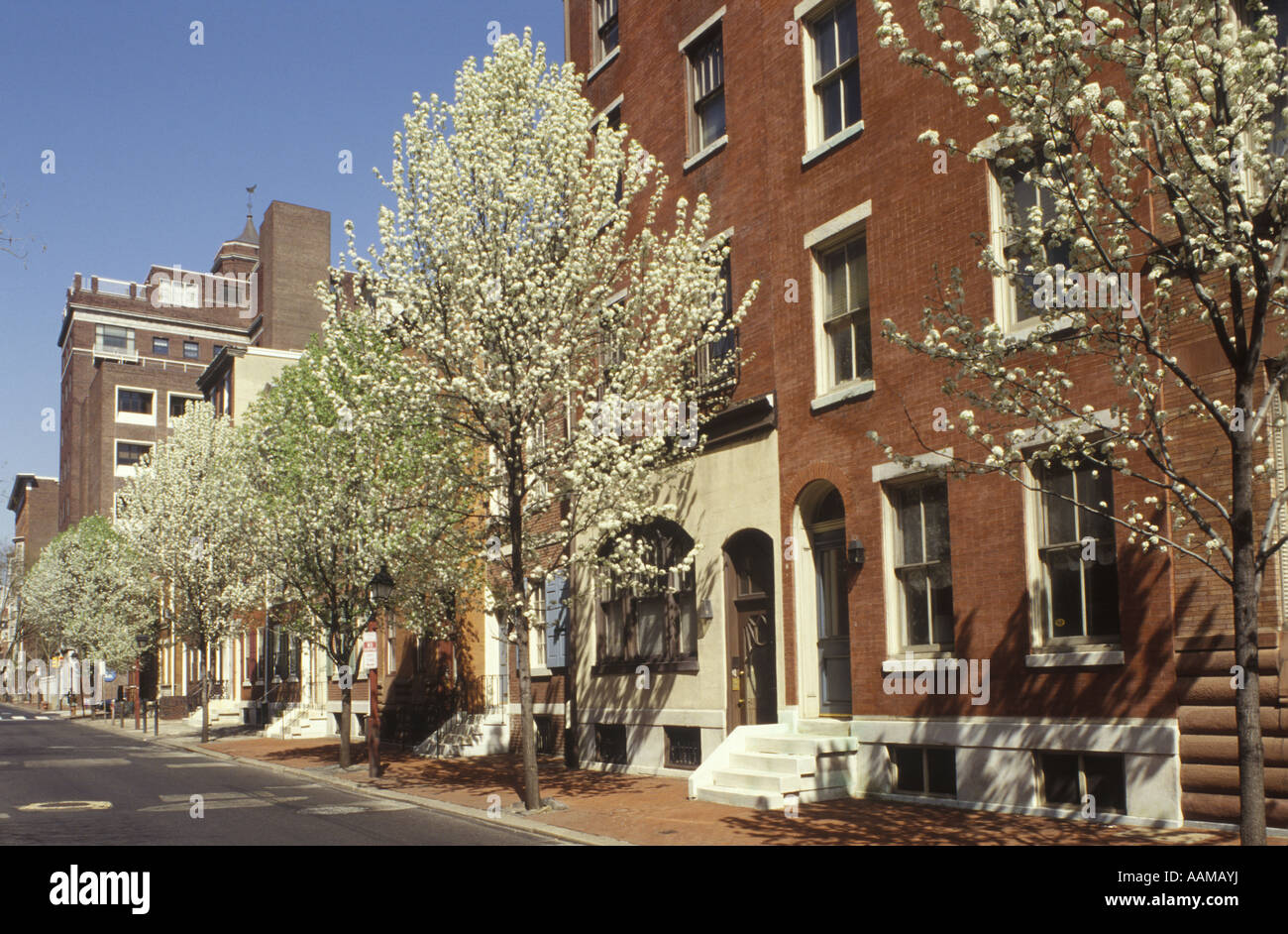 PHILADELPHIA PA SPRUCE STREET SPRING Stock Photo - Alamy