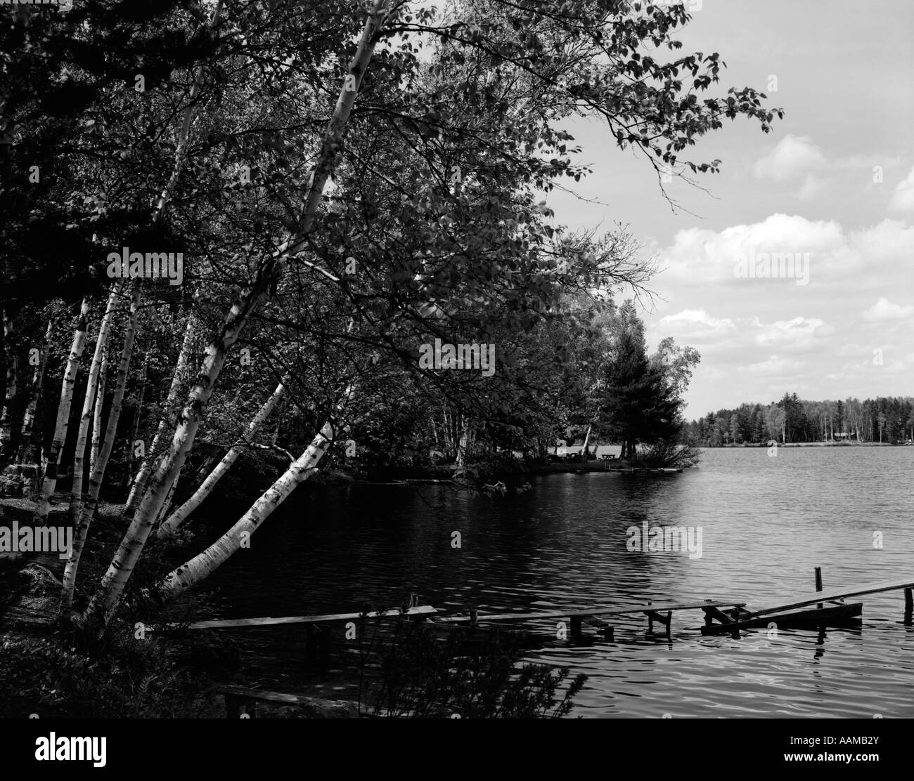 Serene landscape lake trees Black and White Stock Photos & Images - Alamy