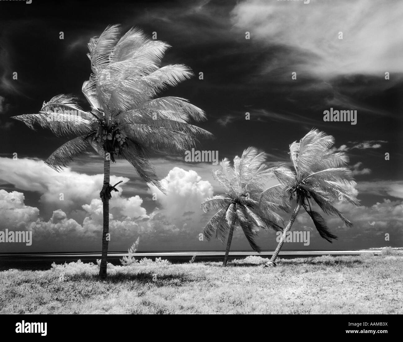 1960s florida keys hi-res stock photography and images - Alamy