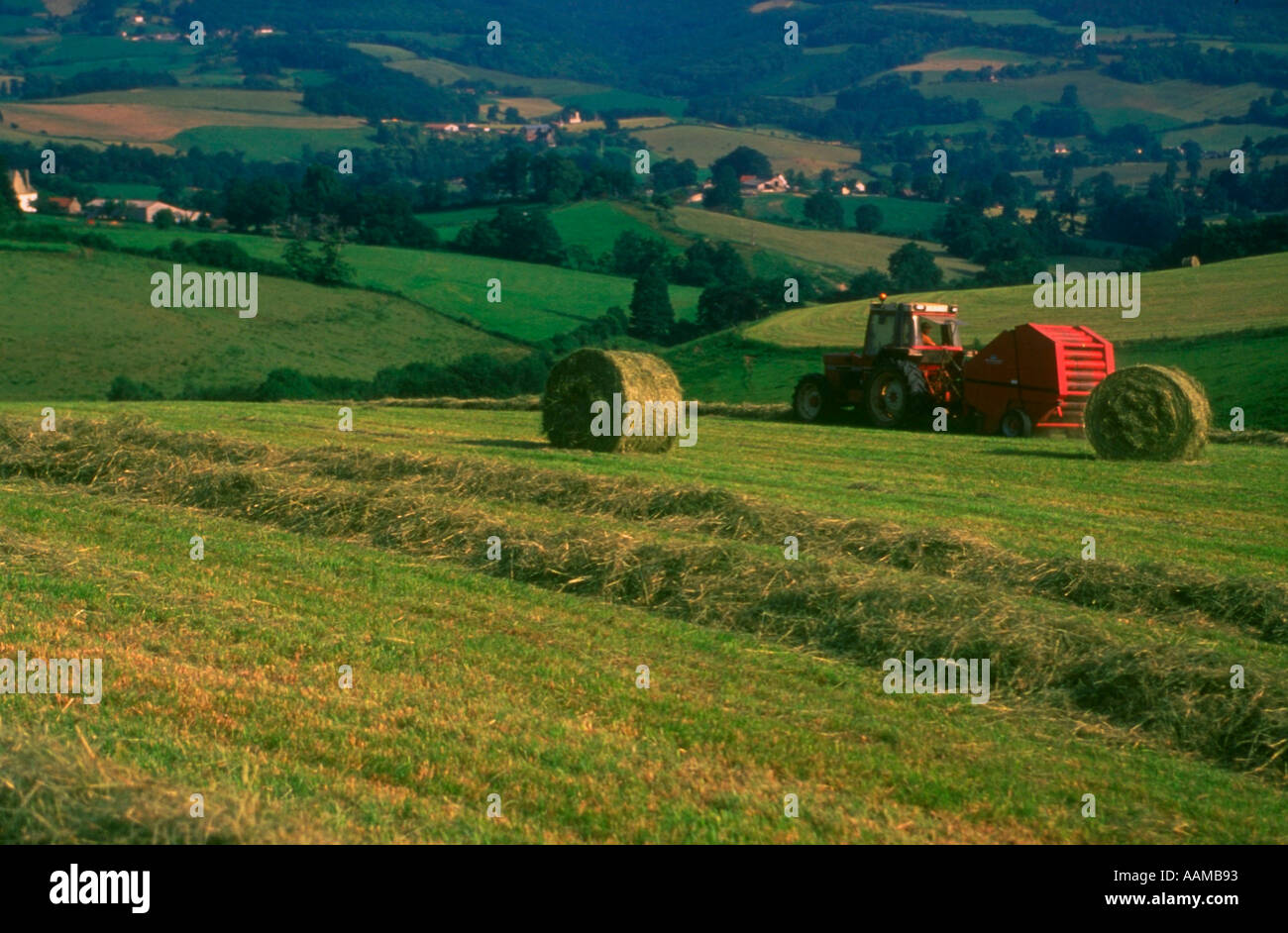 Farmland Cantal Region of Central France Stock Photo - Alamy