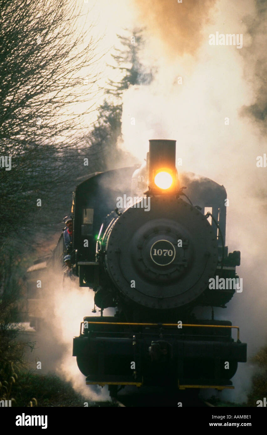 Steam locomotive on Whatcom County railroad Northwest Washington Stock ...