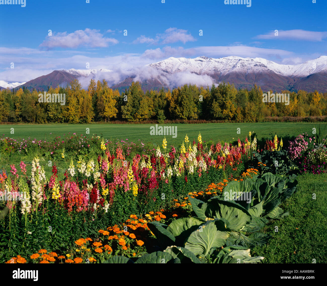 Matanuska valley hi-res stock photography and images - Alamy