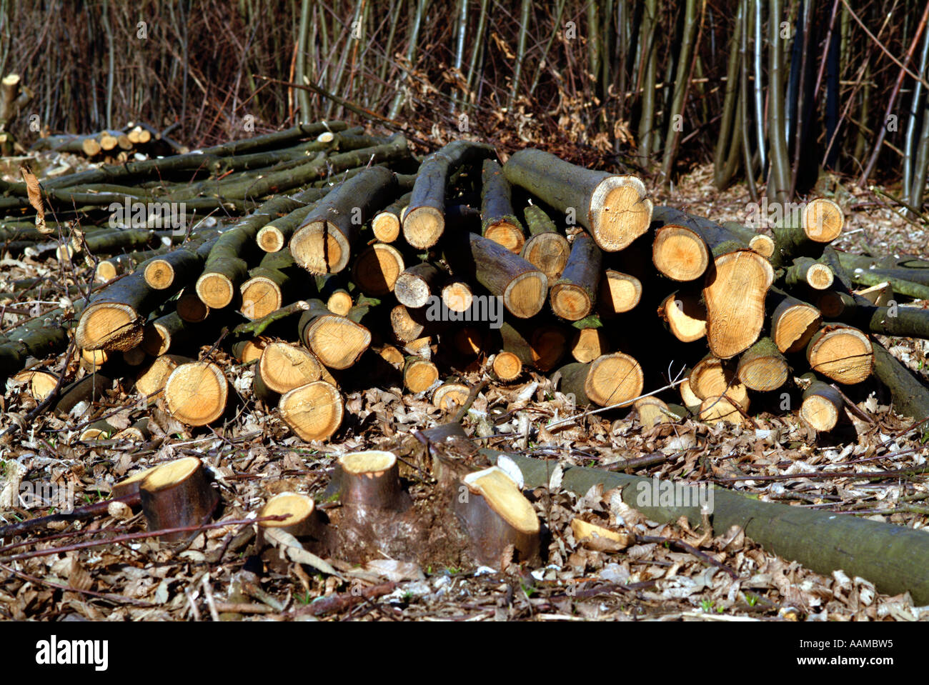 Woodwork fences hi-res stock photography and images - Alamy