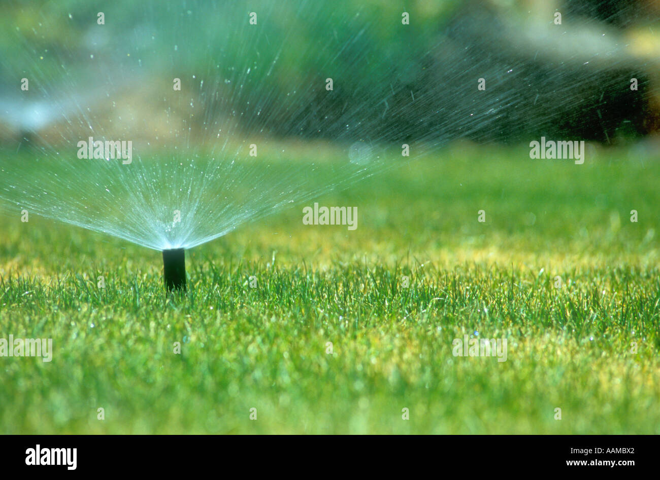 Pop up sprinkler head hi-res stock photography and images - Alamy