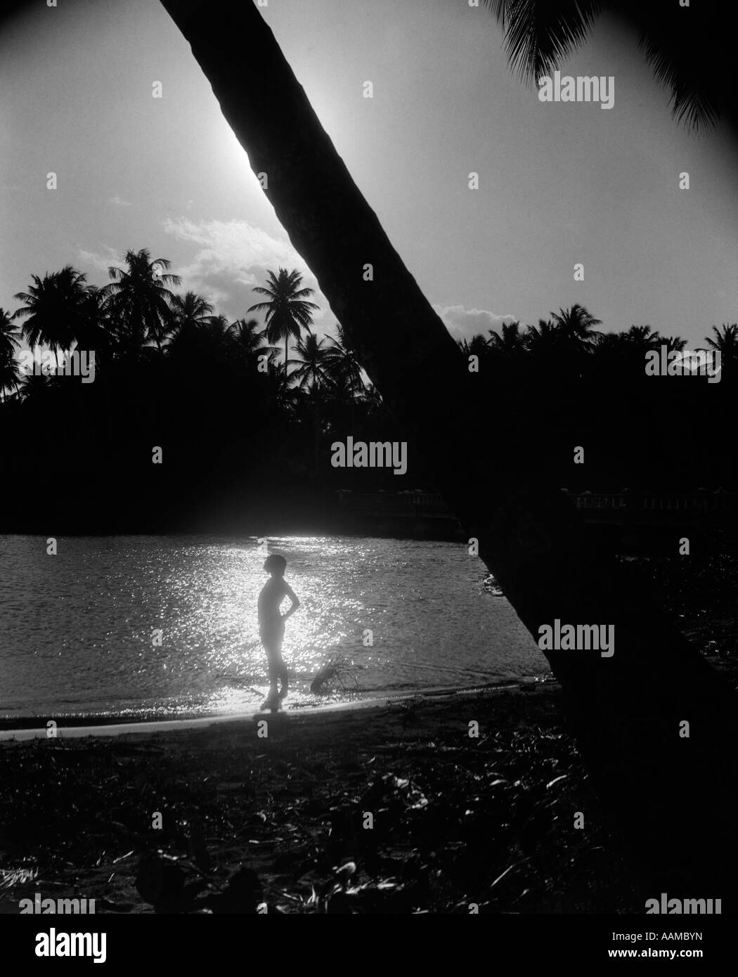 Silhouette tree on shore Black and White Stock Photos & Images - Alamy