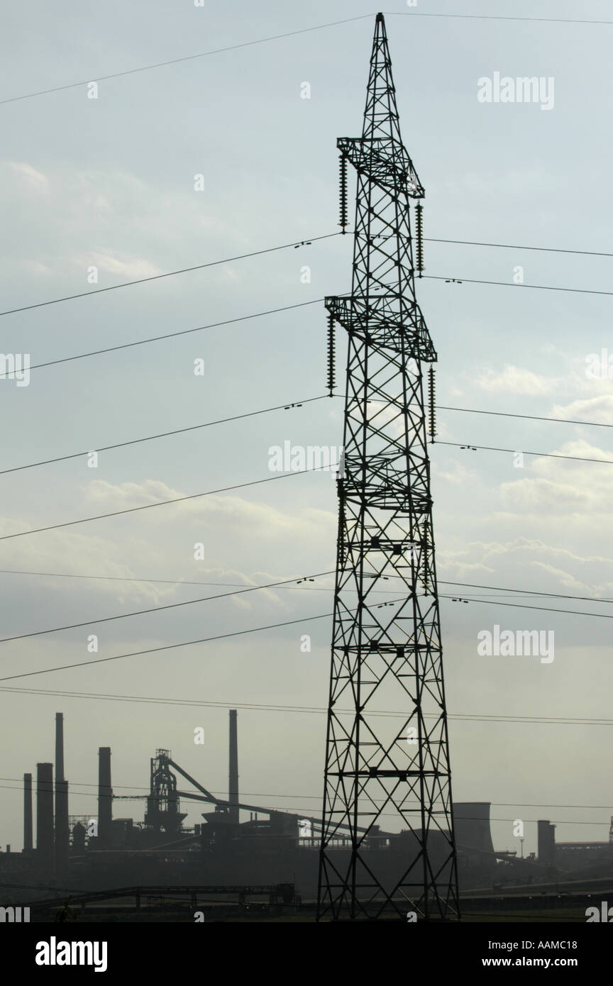 Plant combinat hi-res stock photography and images - Alamy