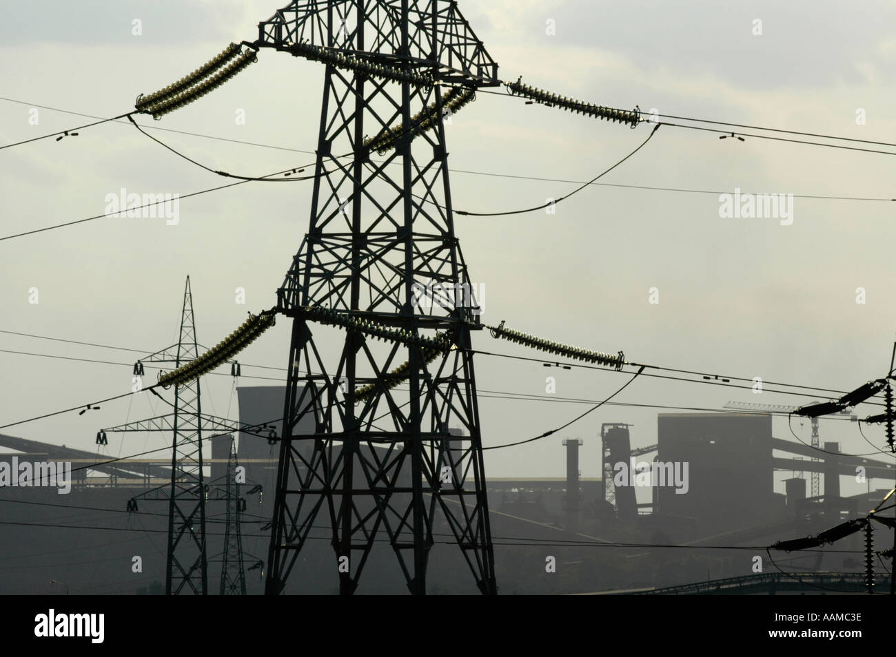 Plant combinat hi-res stock photography and images - Alamy