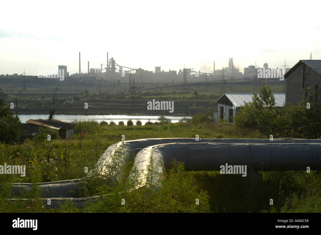 Galati plant hi-res stock photography and images - Alamy