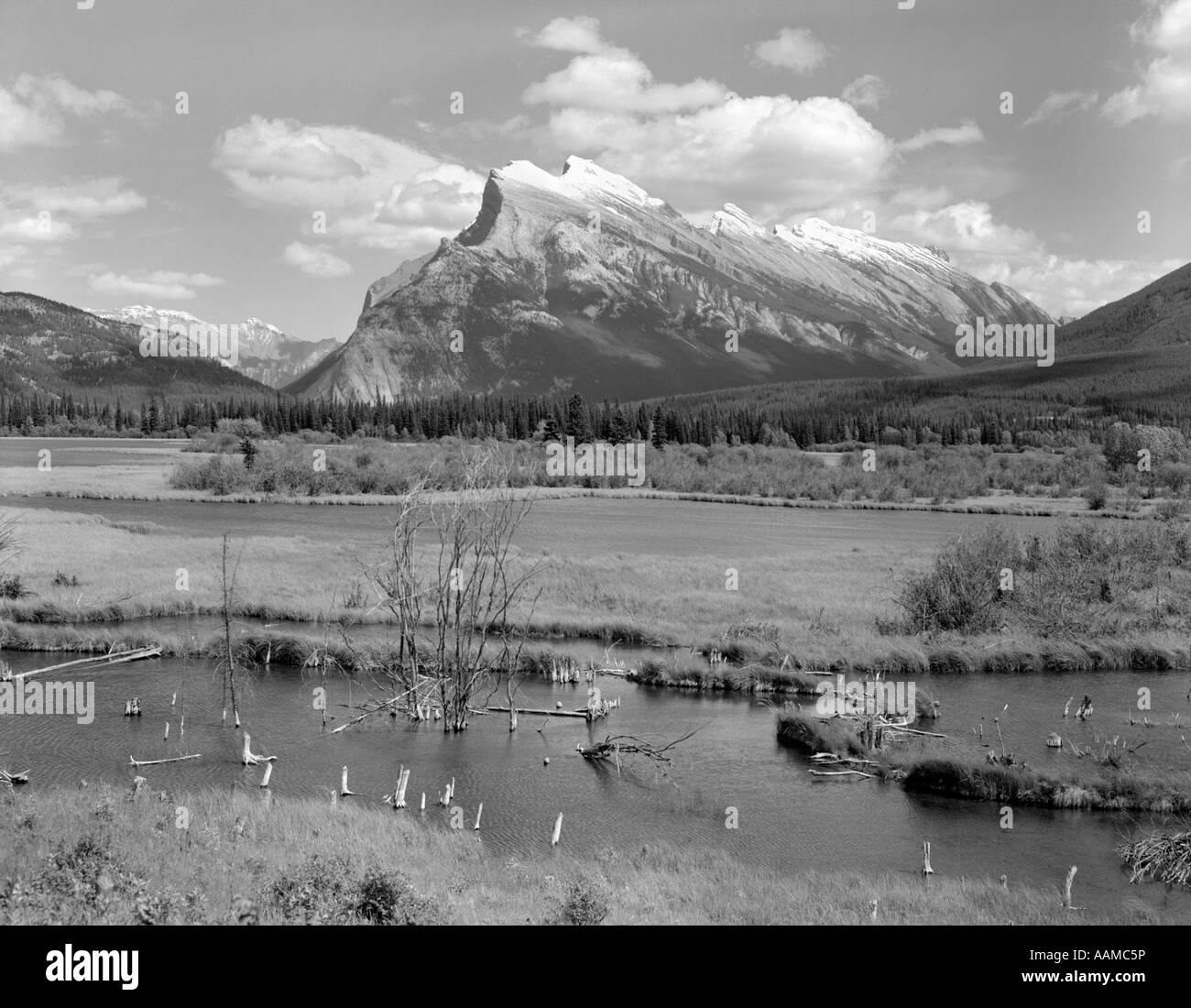 Rundle Black and White Stock Photos & Images - Alamy